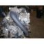 LB7 Downpipe - ProFab Performance Parts, LLC